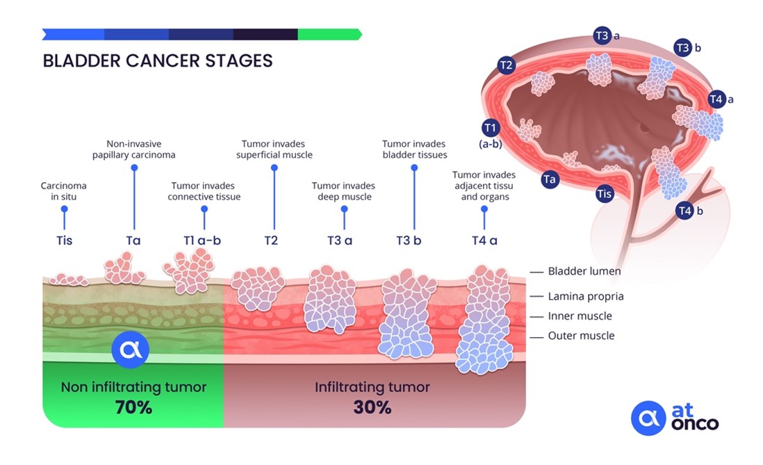 Our R&D pipeline: active research and development by Atonco